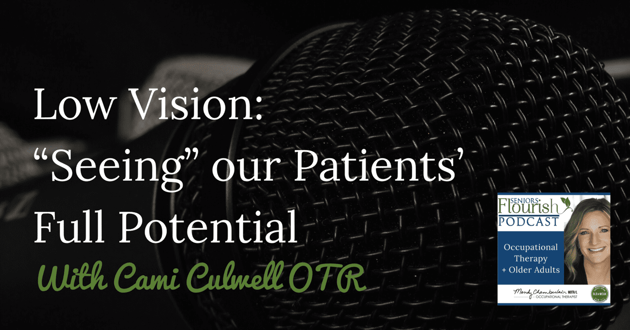 Low Vision Seeing Our Patients Full Potential In Occupational low-vision-seeing-our-patients-full-potential-in-occupational